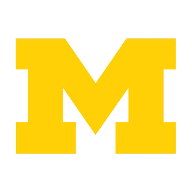 Shop Official Michigan Wolverines Hats for UMich Fans – The Game Caps