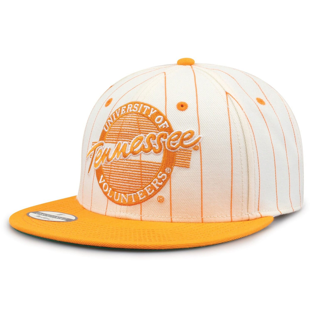 ‘90 Pin Snapback - The Game Caps